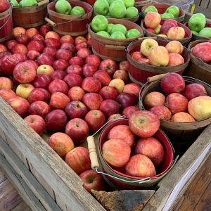 13 Places for the Best Apple Picking in Connecticut - Fruit Picking ...