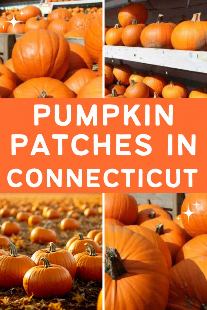12 of the Best Pumpkin Patches in Connecticut - Days Out On The Farm