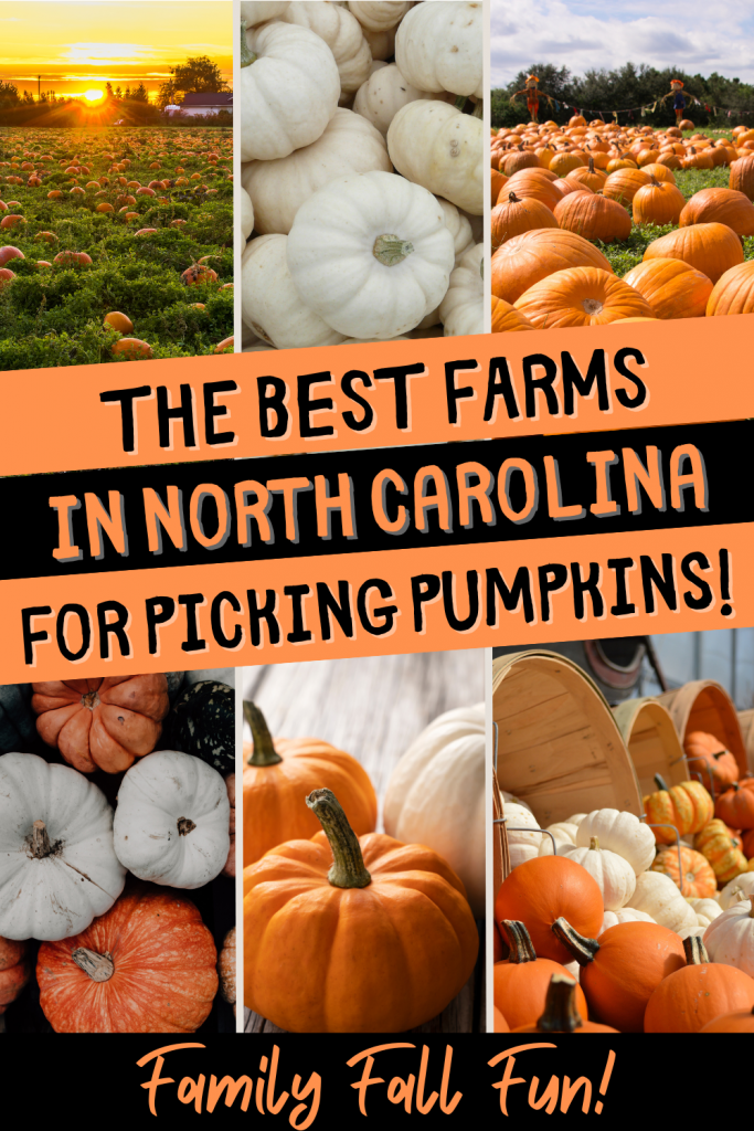 12 Best Places to Visit a Pumpkin Patch in North Carolina - Days Out On ...