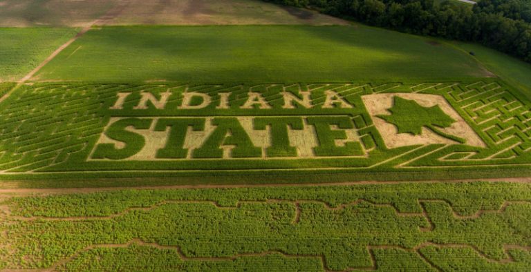 7 Best Places for a Corn Maze in Illinois - Days Out On The Farm