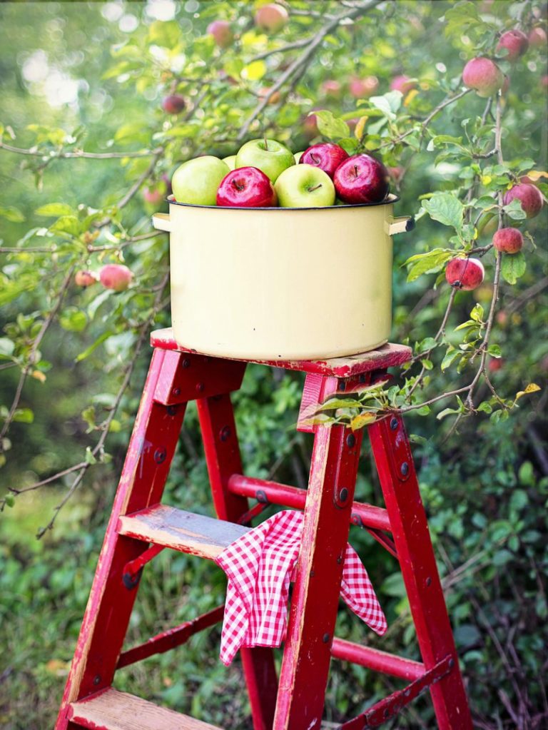 16 Orchards for the Best Apple Picking in California - Days Out On The Farm