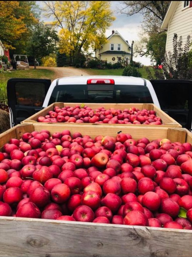 8 Places for the Best Apple Picking in Minnesota - Days Out On The Farm