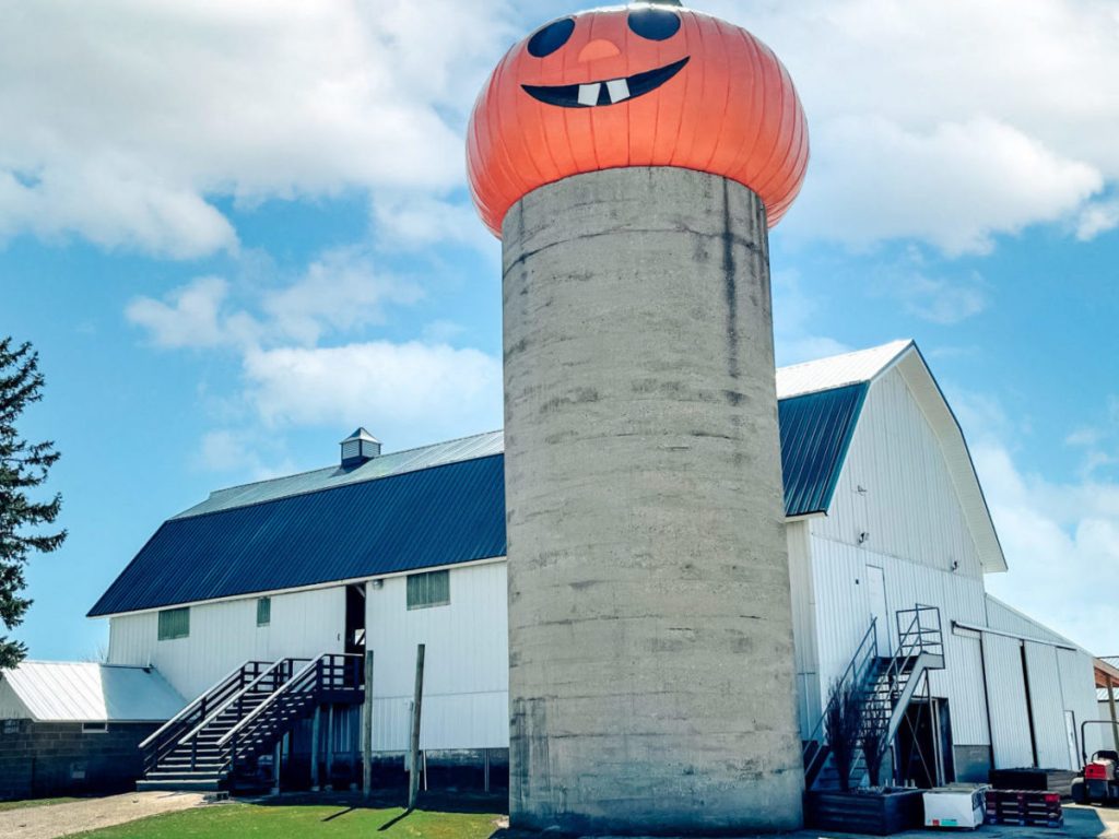 10 Places for the Best Pumpkin Patch in Chicago - Days Out On The Farm