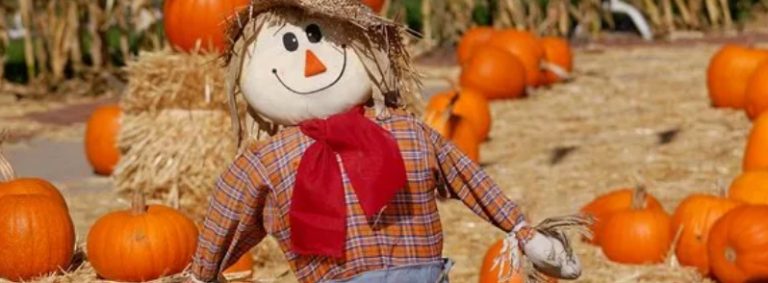 10 Places for the Best Pumpkin Patch in San Antonio - Days Out On The Farm