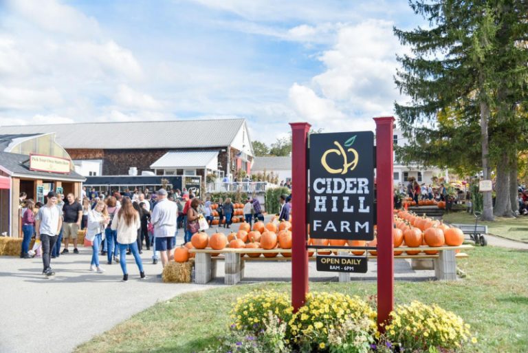 10 Best Places for Apple Picking Massachusetts - Days Out On The Farm