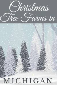 5 Festive and Best Christmas Tree Farms Michigan - Days Out On The Farm