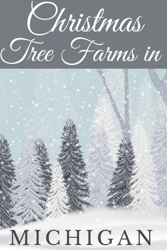 5 Festive and Best Christmas Tree Farms Michigan - Days Out On The Farm