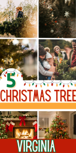 4 Festive and Best Christmas Tree Farms in Virginia - Days Out On The Farm